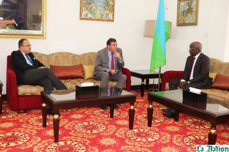 Entrevue entre le Premier ministre Abdoulkader Kamil Mohamed et le ...