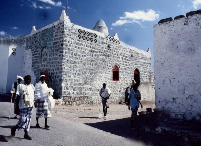 Zoom sur la région de Dikhil | LA NATION