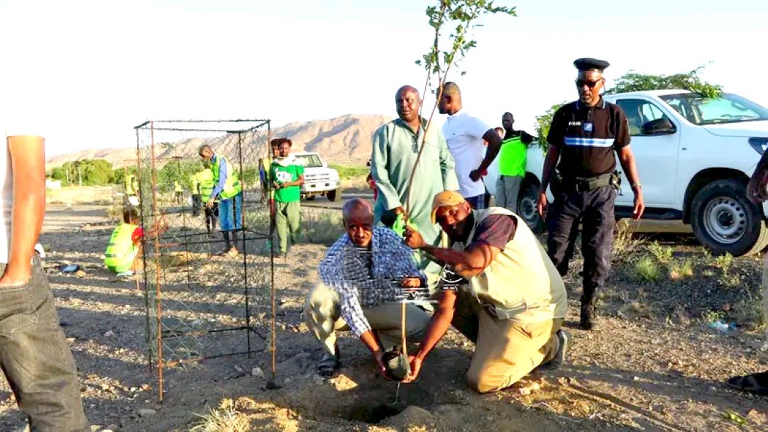 Ali-Sabieh : les plantations d’arbres se poursuivent | LA NATION