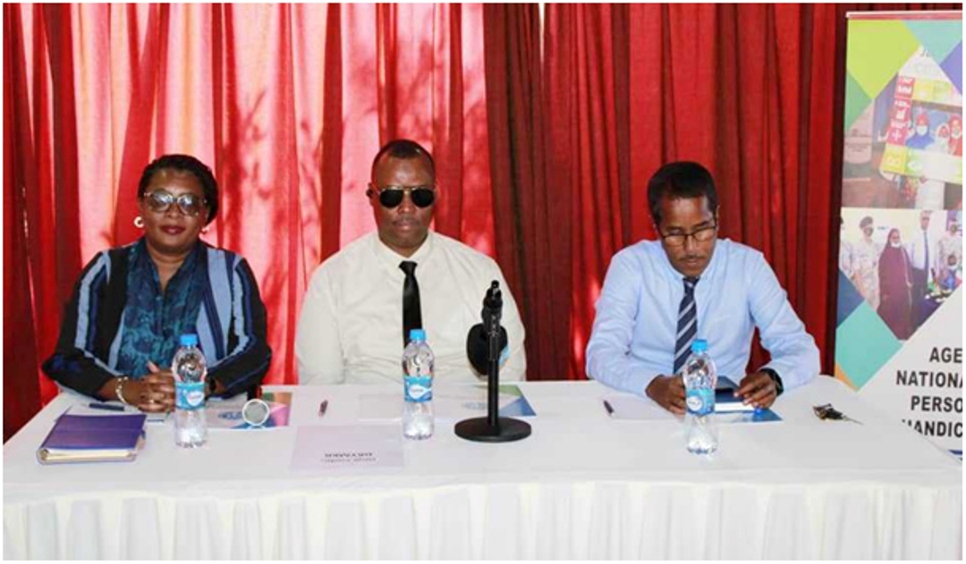 ANPH : Atelier de vulgarisation sur la cartographie des métiers adaptés ...