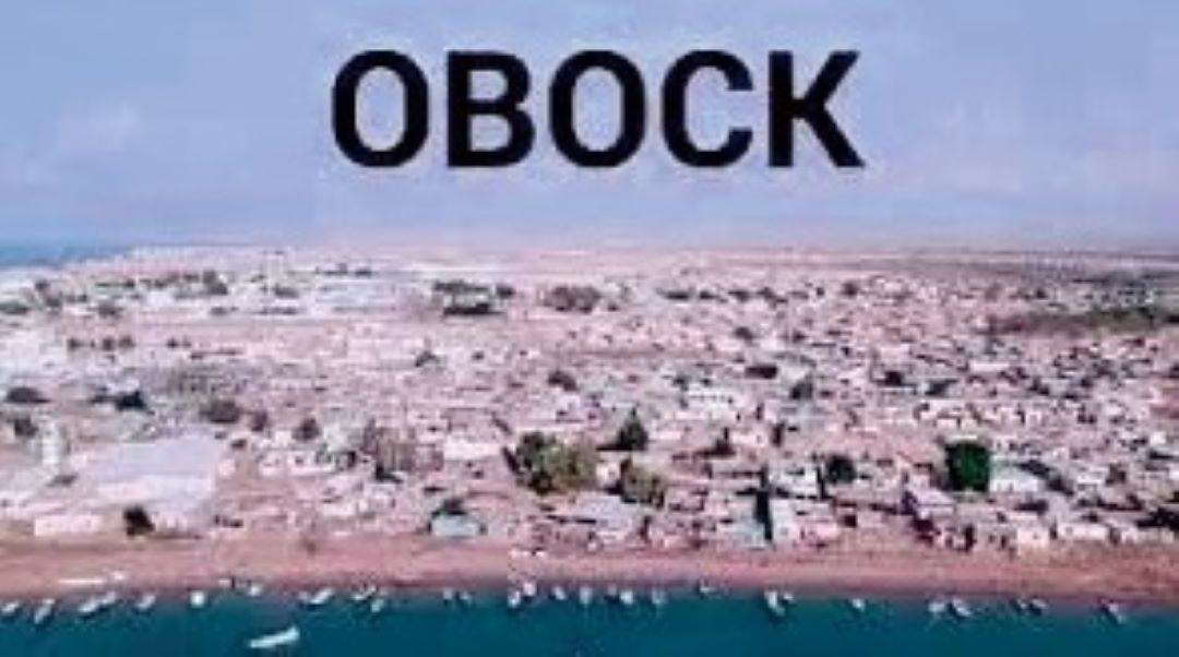 COUP DE PROJECTEUR : Zoom sur la région d’Obock | LA NATION
