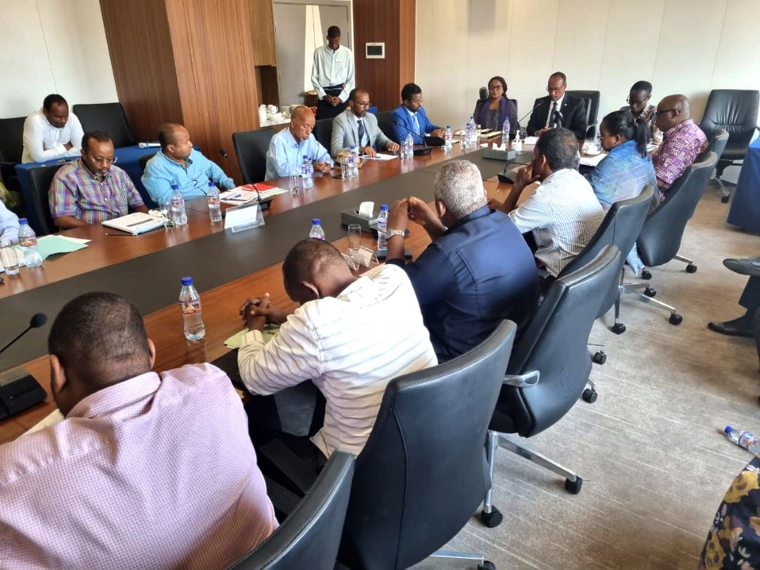 Lancement et mise en œuvre du plan d’action du schéma directeur ...