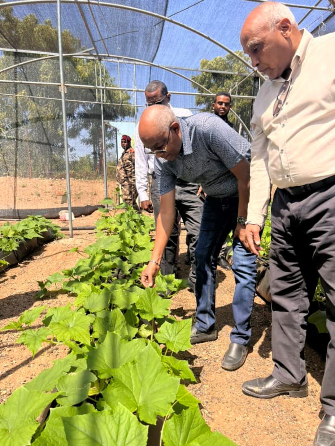 Le ministre Kassim Haroun Ali se rend sur le terrain pour s’enquérir de ...