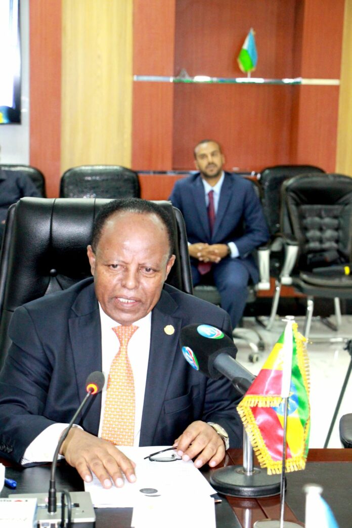 Le ministre Mahmoud Ali Youssouf reçoit le nouveau chef de la ...