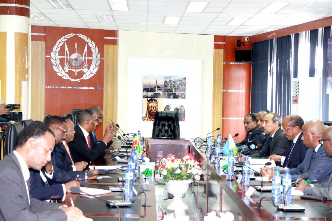 Le ministre Mahmoud Ali Youssouf reçoit le nouveau chef de la ...