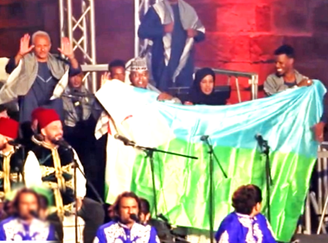 Les artistes djiboutiensbrillent au festival Samaa organisé au Caire ...