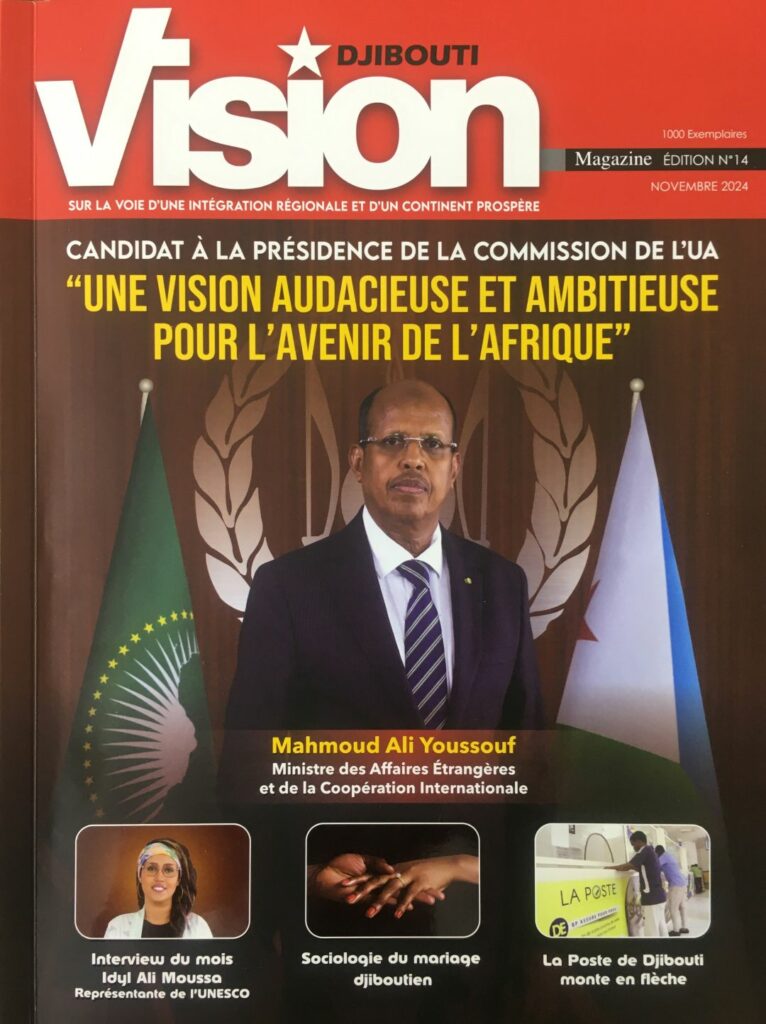 REVUE DE PRESSE MAGAZINE VISION n°14 :Tour d’horizon d’une vision ...