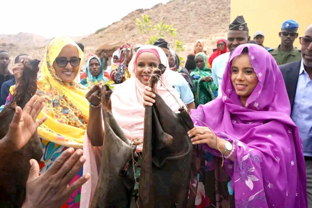 Région d’Ali-Sabieh : L’inauguration des œuvres à caractère social ...