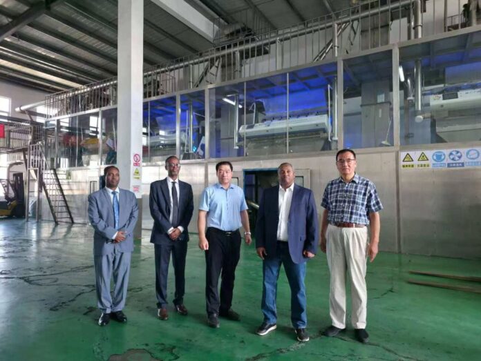 Djibouti/Chine : Signature d’un accord pour transformer le lac Assal en ...