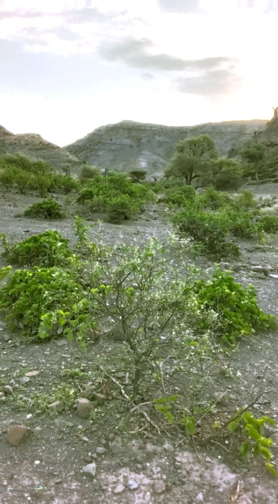 Randa, l’écrin de fraîcheur qui murmure aux estivants : ne partez pas | LA NATION