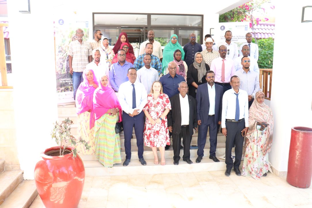 BIOFIN–Djibouti : Un tournant stratégique pour le financement durable ...