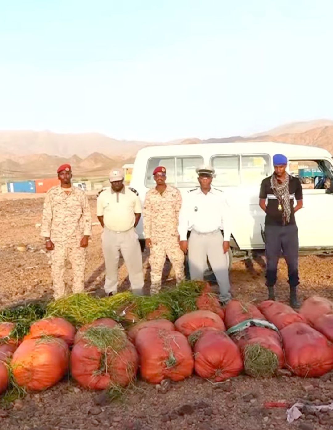 Ali-Sabieh : 60 colis de khat de contrebande saisis lors d’une ...