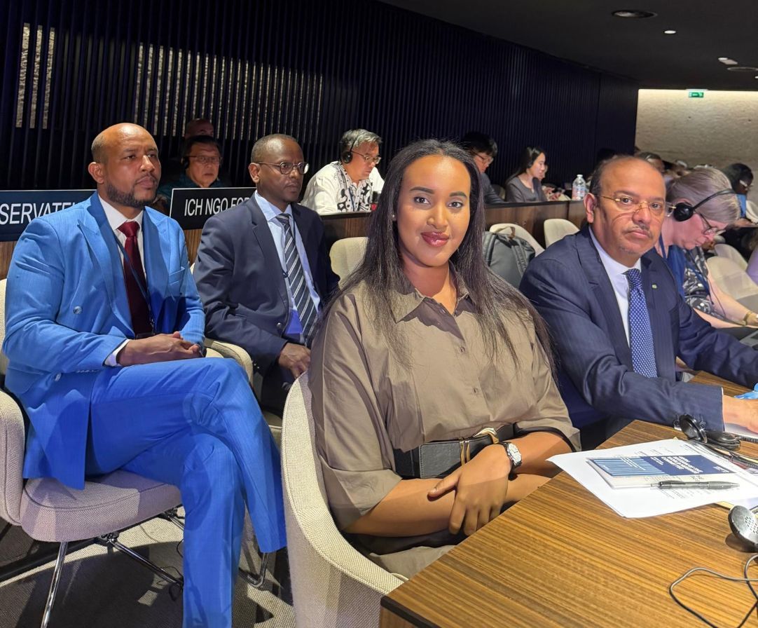 Unesco : Djibouti élu pour un second mandat au comité de sauvegarde du ...